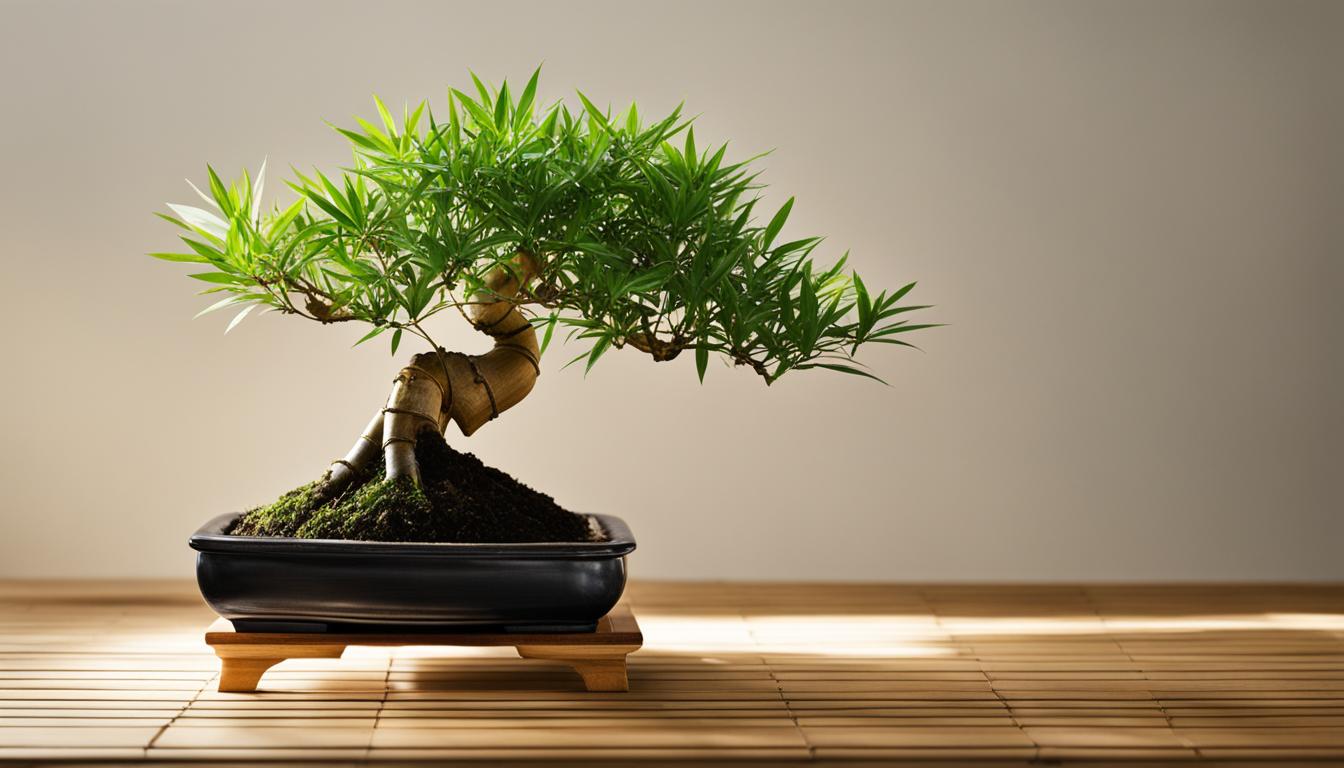 Bonsai Tree Species Spotlight: The Graceful Bamboo