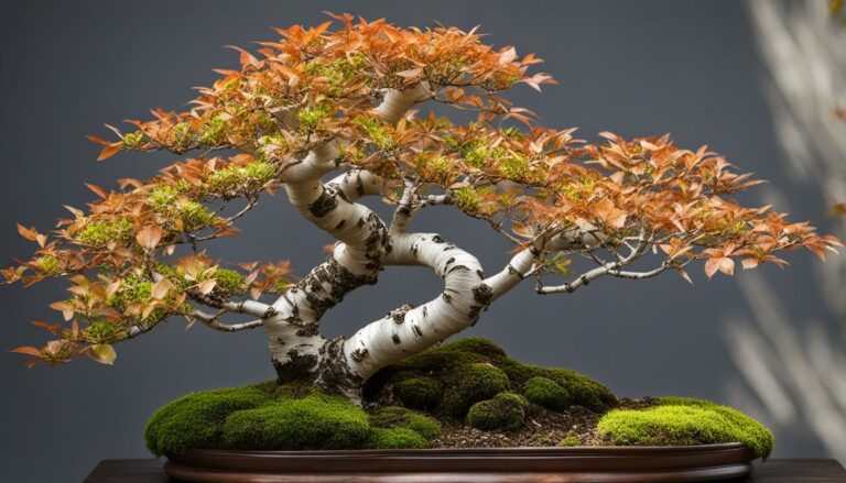 Bonsai Tree Species Profile: The Delicate Birch